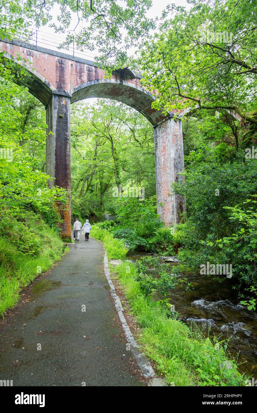 The impressive Talyllyn Railway viaduct over the Nant Dôl-goch stream ...
