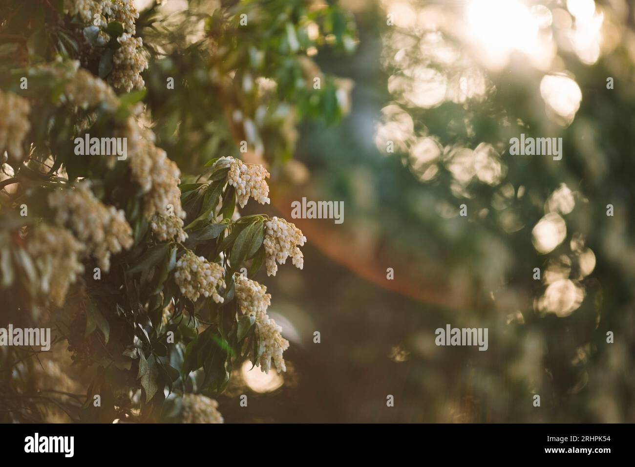 Shadow and bell hi-res stock photography and images - Alamy