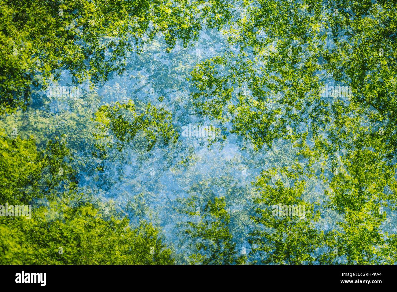 Multiple exposure trees and HImmel Stock Photo - Alamy