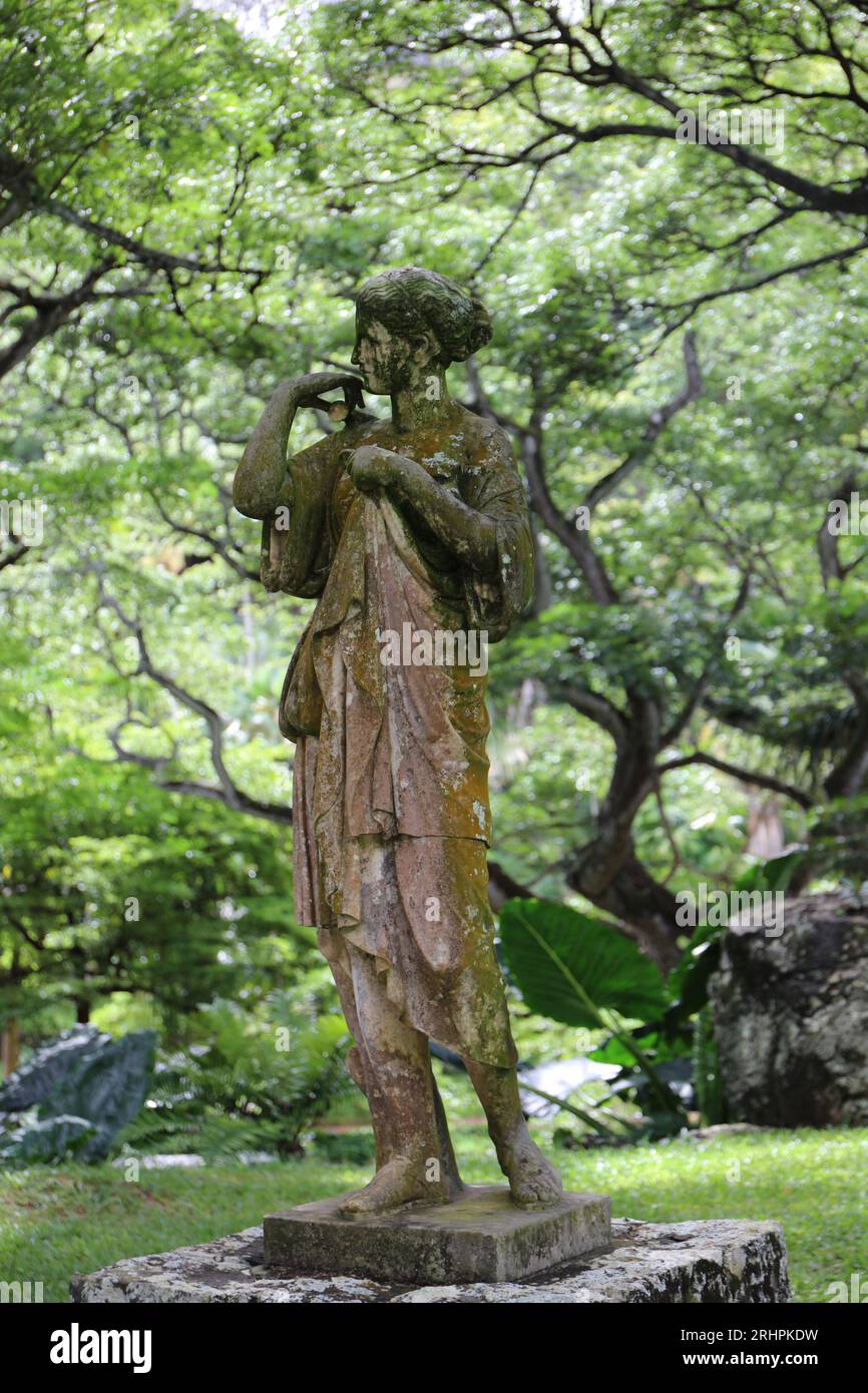 A stone statue of the goddess Diana dappled with moss surrounded by ...