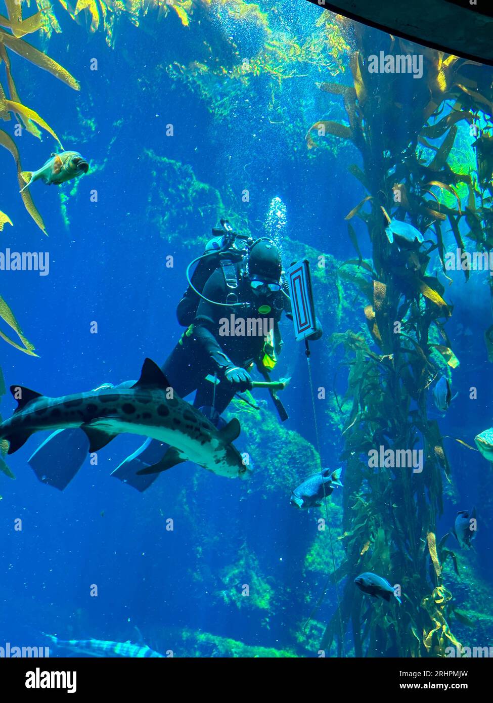 California Science Center in Los Angeles, California USA. marine theme ...