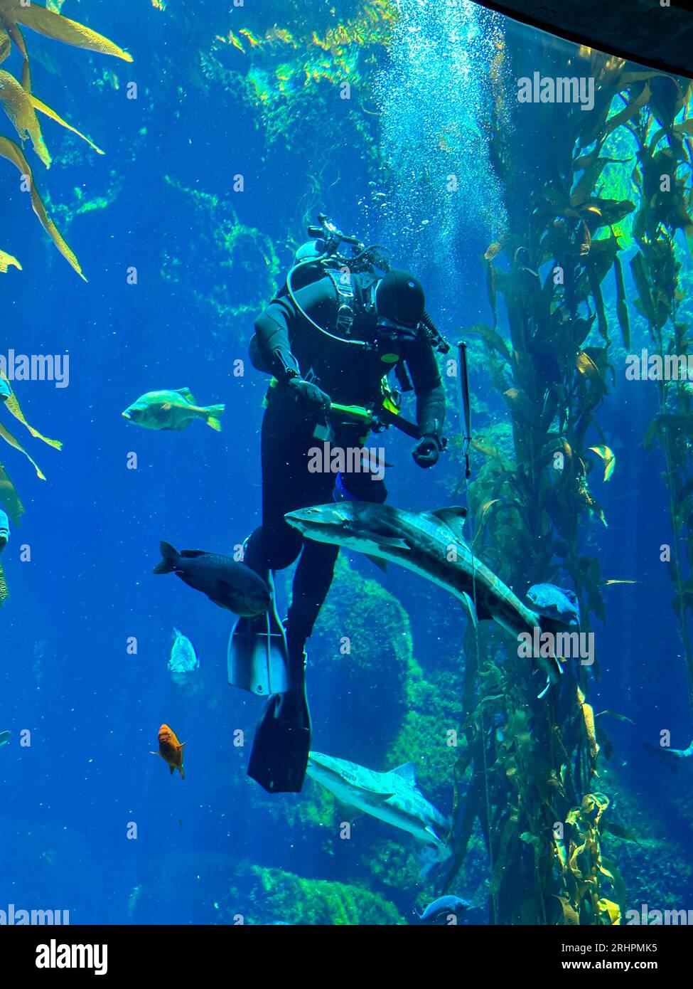 California Science Center in Los Angeles, California USA. marine theme ...
