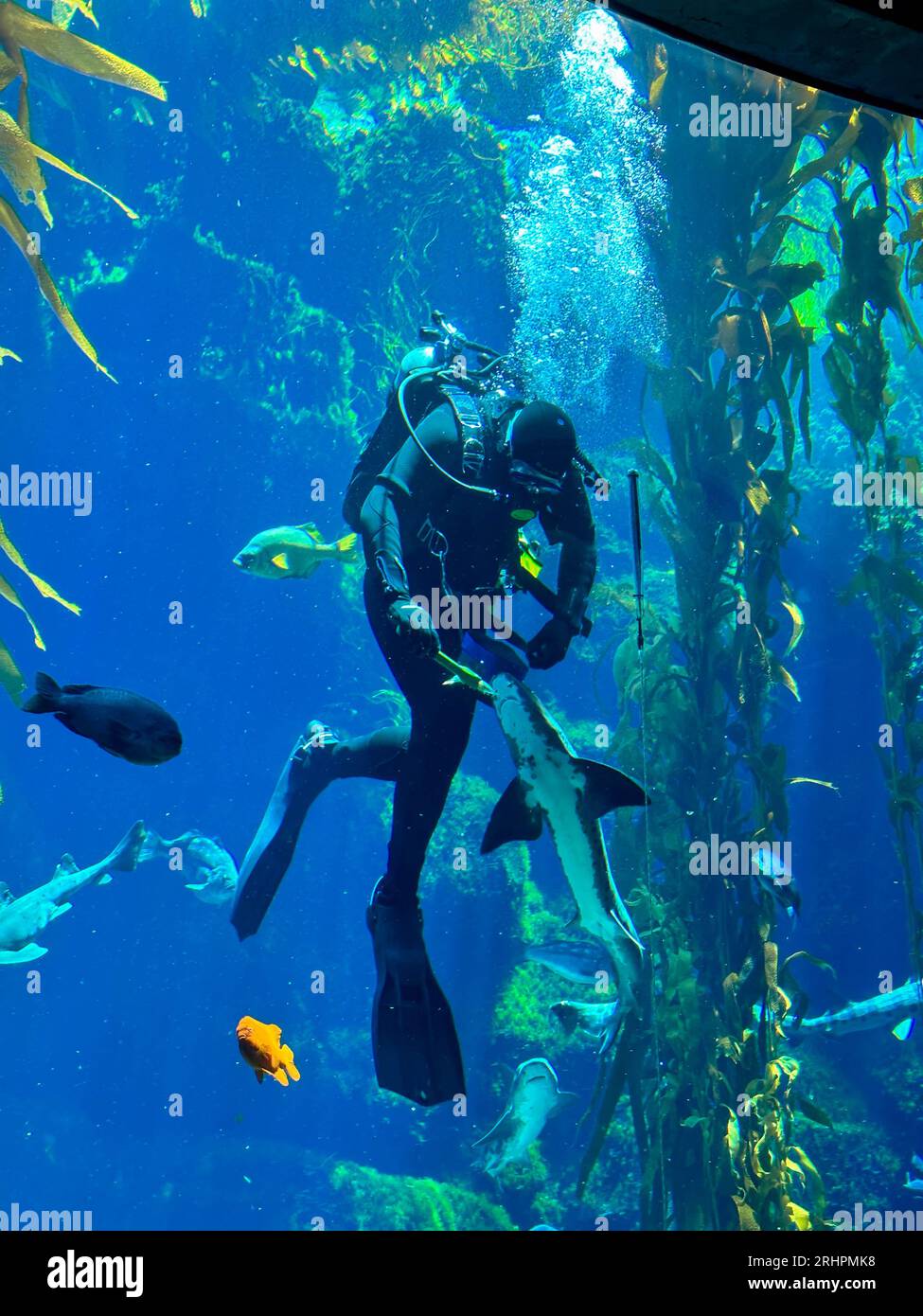 California Science Center in Los Angeles, California USA. marine theme ...