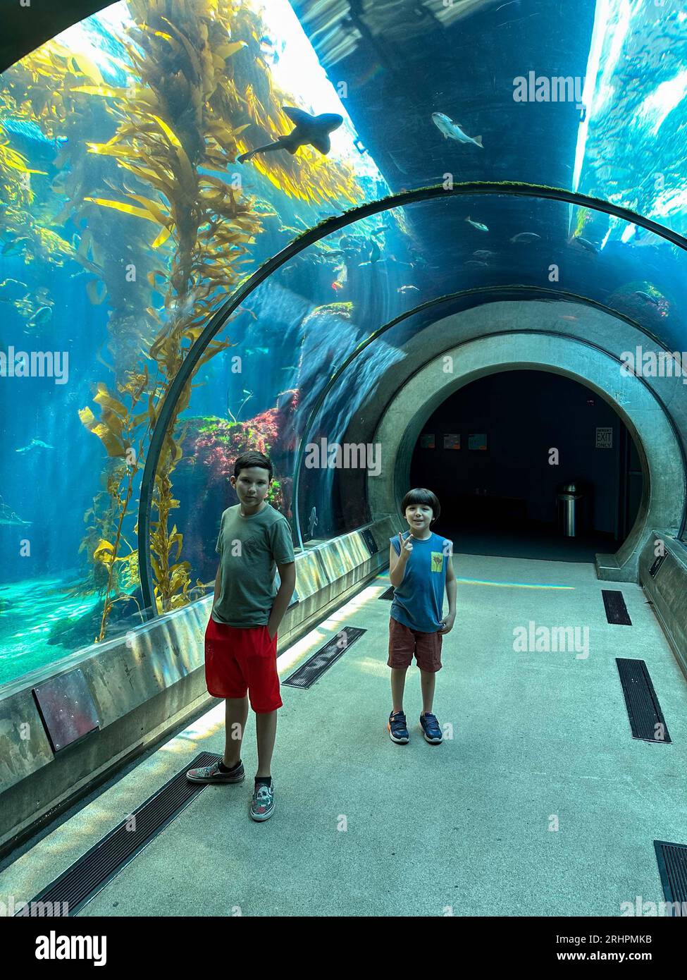 California Science Center in Los Angeles, California USA. marine theme ...