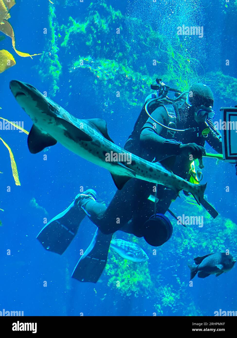California Science Center in Los Angeles, California USA. marine theme ...