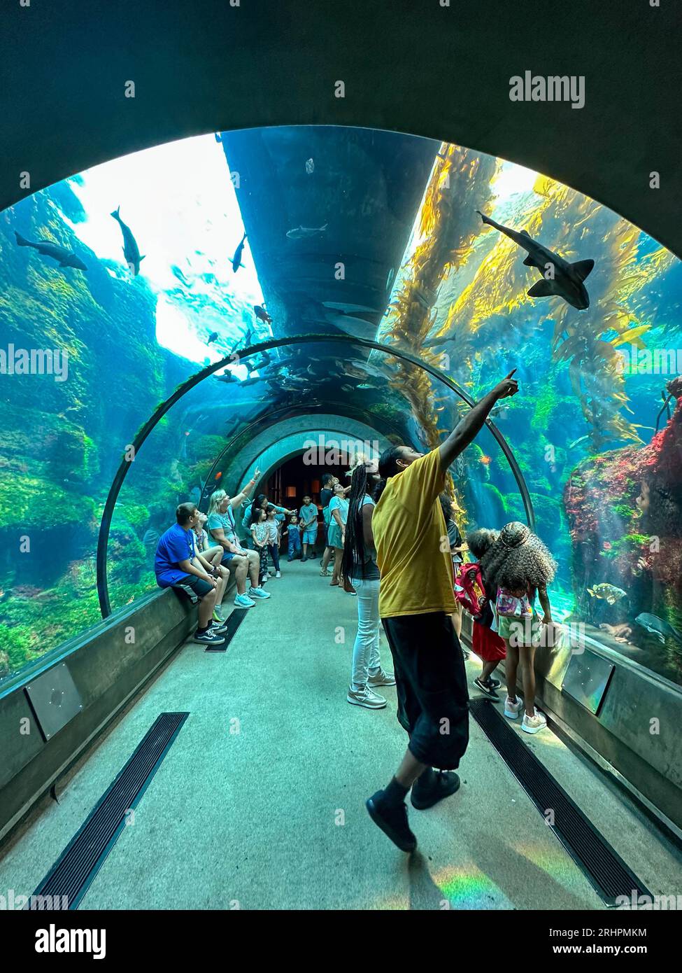 California Science Center in Los Angeles, California USA. marine theme ...