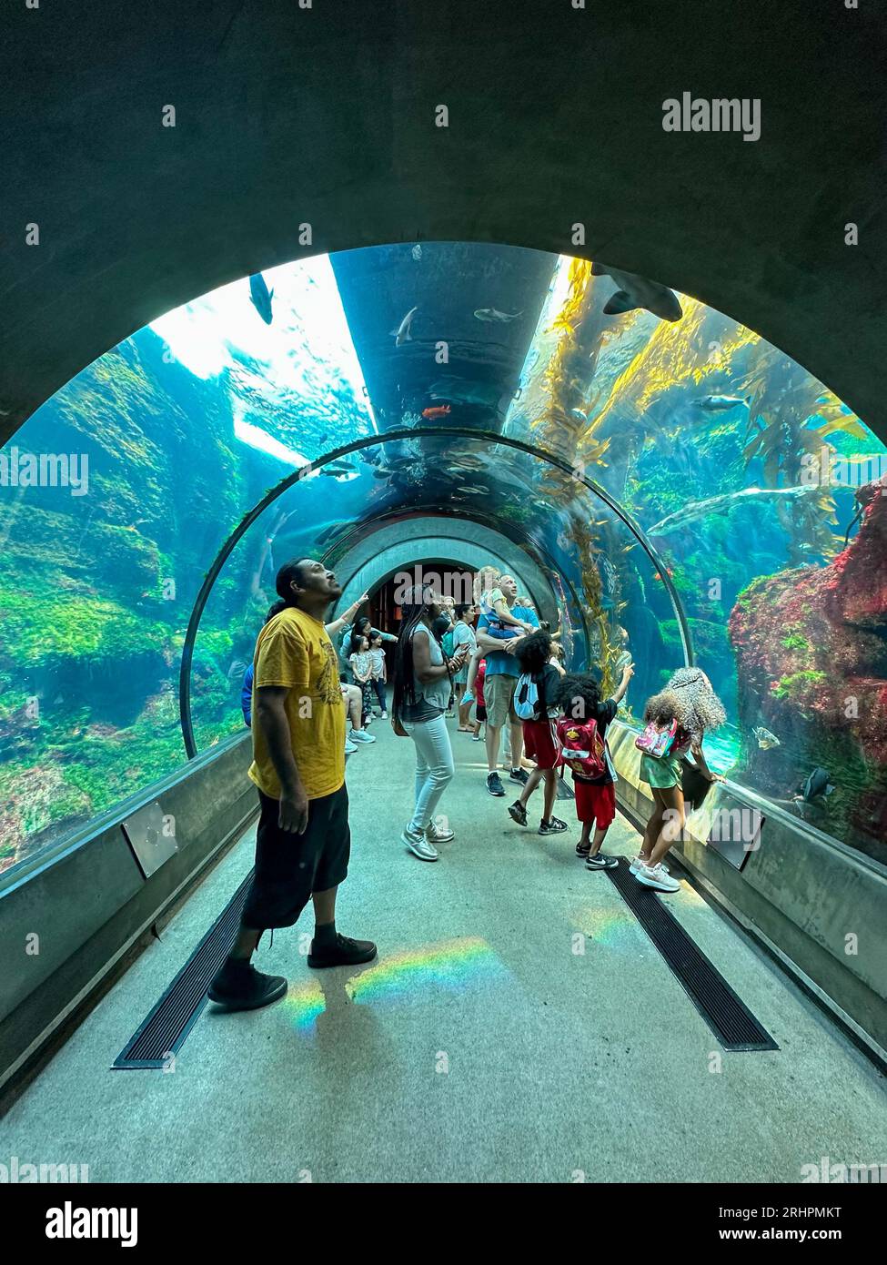 California Science Center in Los Angeles, California USA. marine theme ...