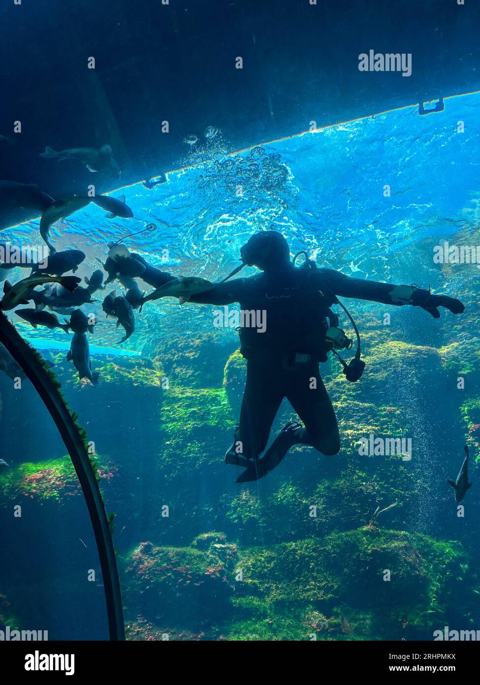 California Science Center in Los Angeles, California USA. marine theme ...