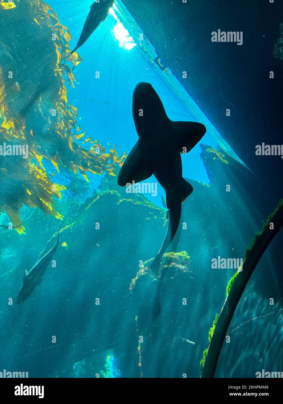 California Science Center in Los Angeles, California USA. marine theme ...