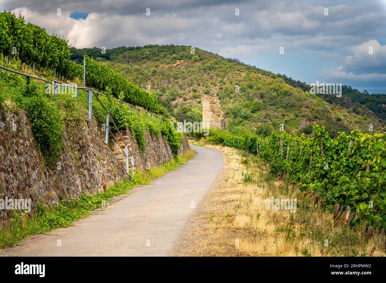 Coraidelstein Castle in Klotten near Cochem on the Moselle, also called ...