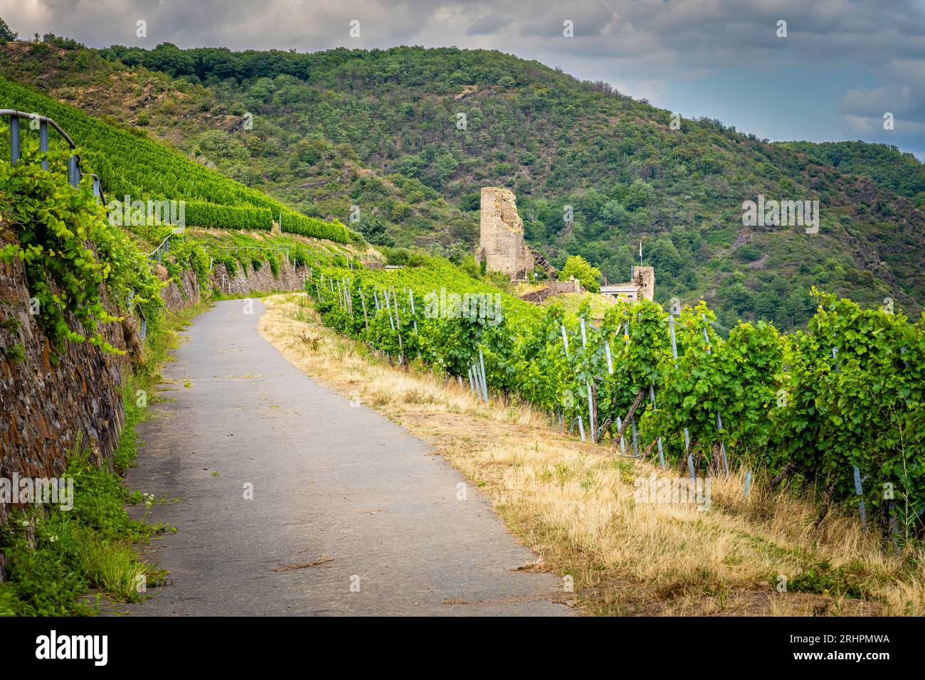 Coraidelstein Castle in Klotten near Cochem on the Moselle, also called ...