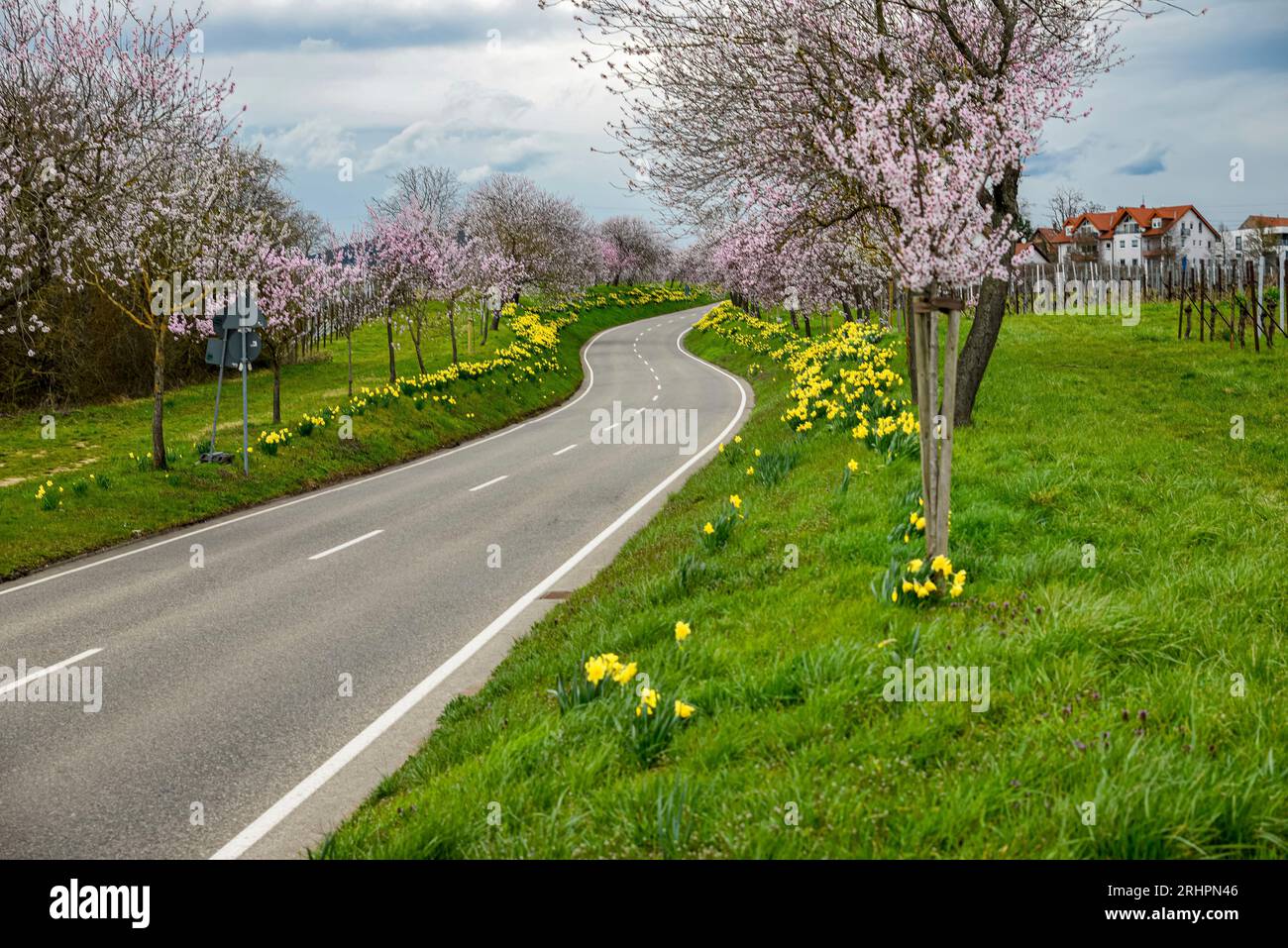 Almond avenue hi-res stock photography and images - Alamy