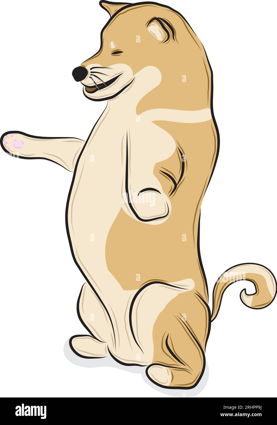 vector picture Shiba dog breed, also known as Inu Stock Vector Image ...