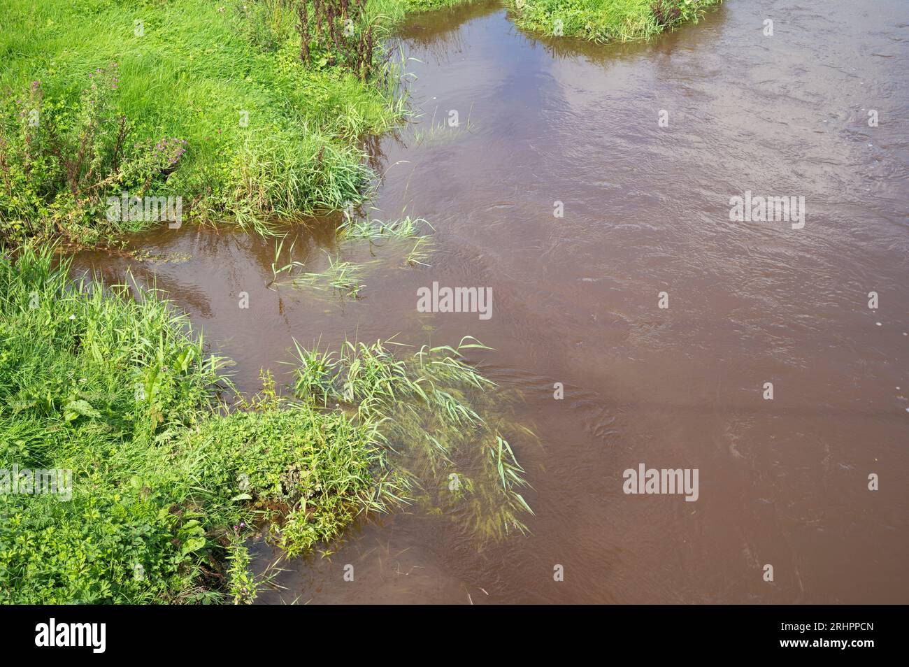 Stream entering the Gwendraeth Fach river heavily polluted with farm ...