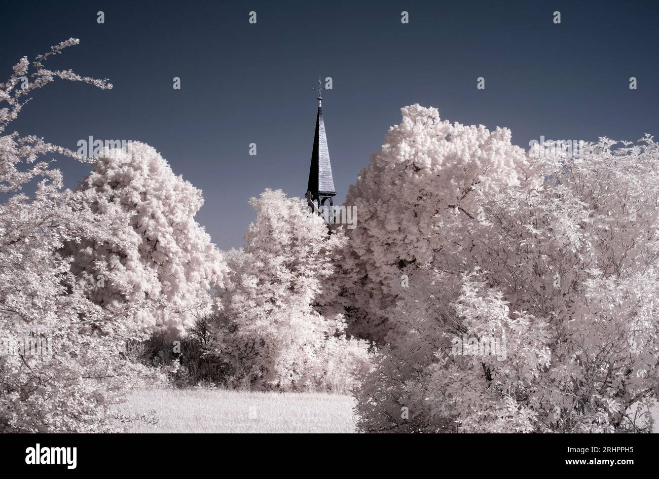 Europe, Germany, Hesse, Central Hesse, Marburg County, Amöneburg Basin ...