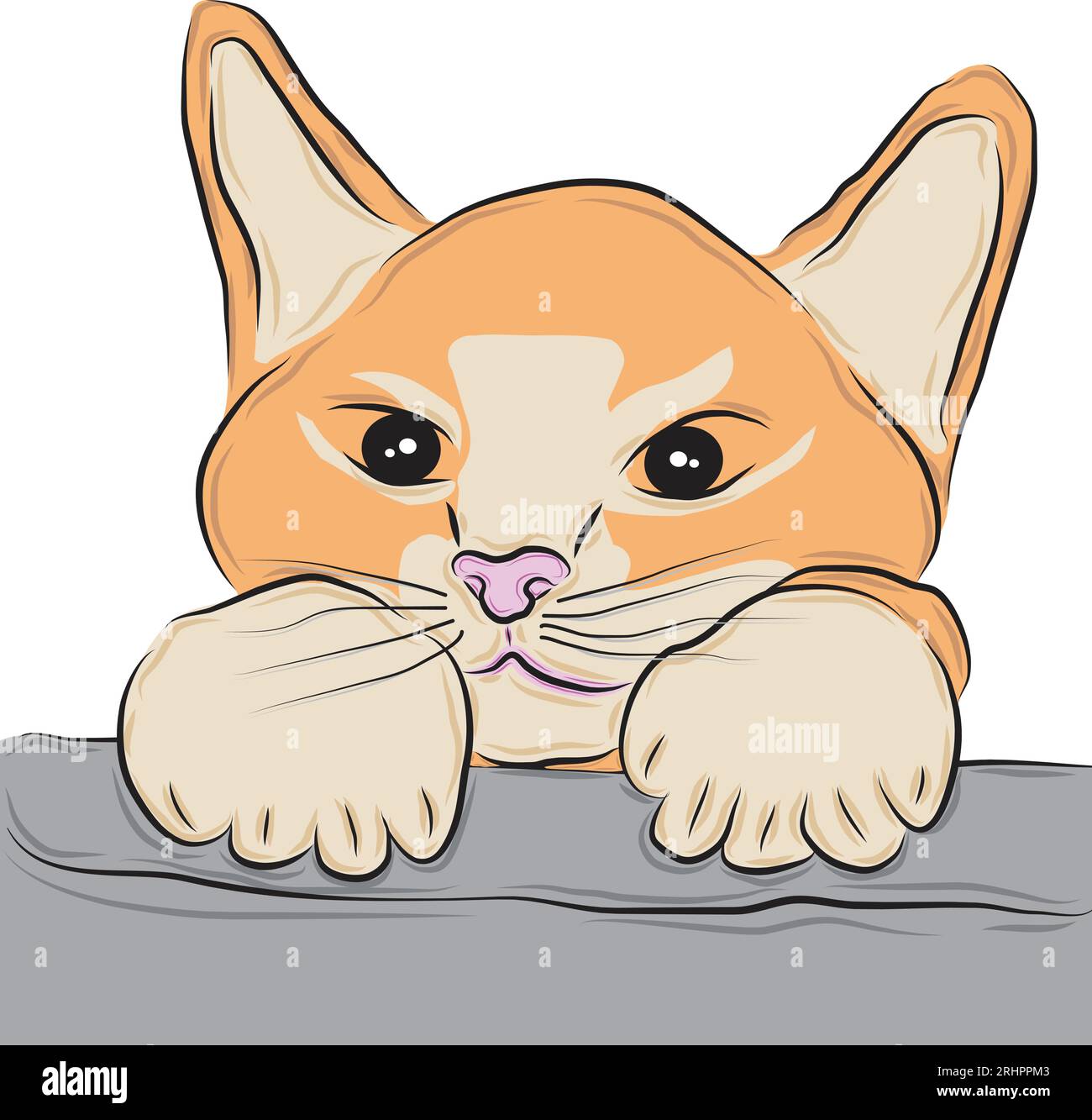Cute orange cat pet vector picture Stock Vector Image & Art - Alamy