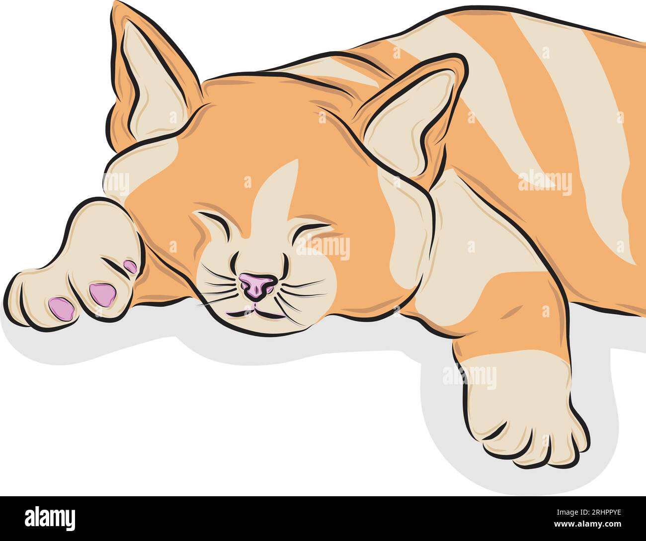 Cute orange cat pet vector picture Stock Vector Image & Art - Alamy