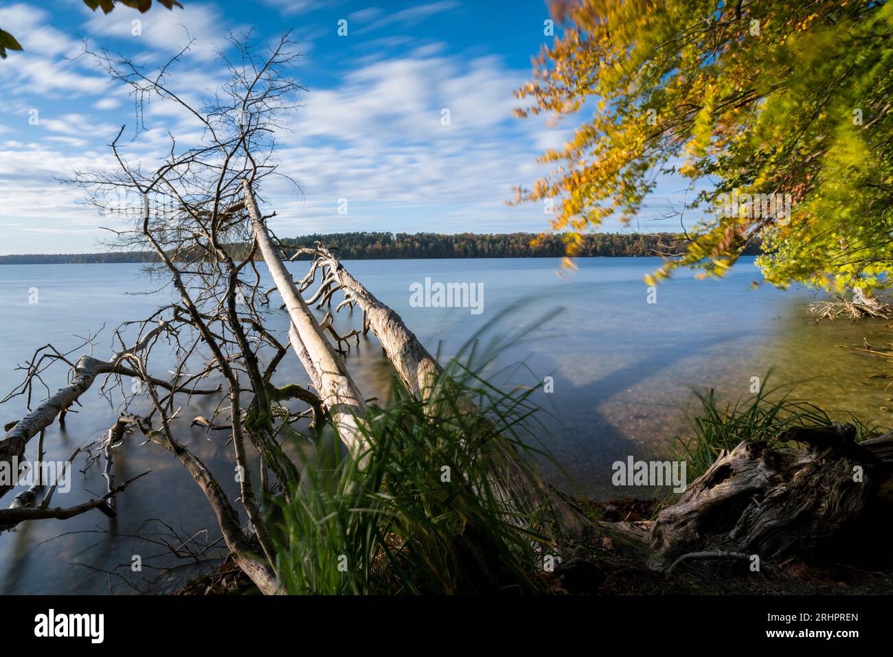Lake Stechlinsee, Stechlin in autumn, Brandenburg, Germany Stock Photo ...