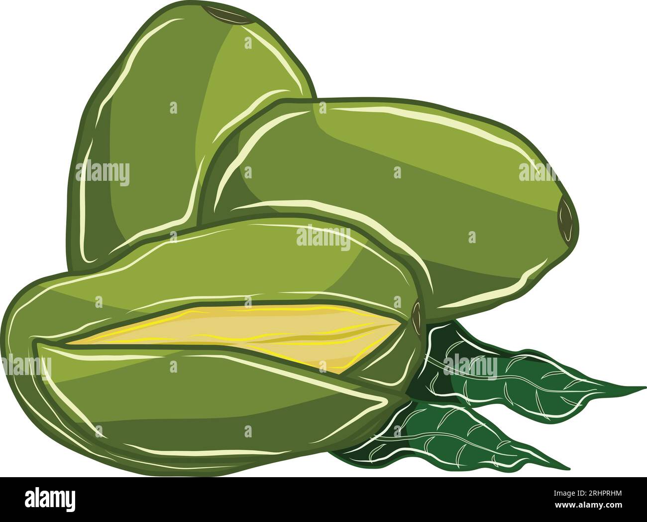 Three ripe dark green Stock Vector Images - Alamy