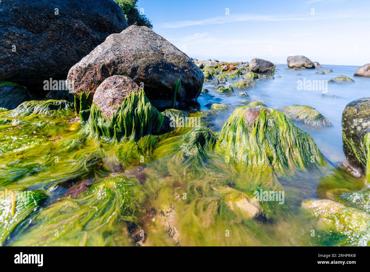 Hiddensee, beach in front of cliff full of algae Stock Photo - Alamy
