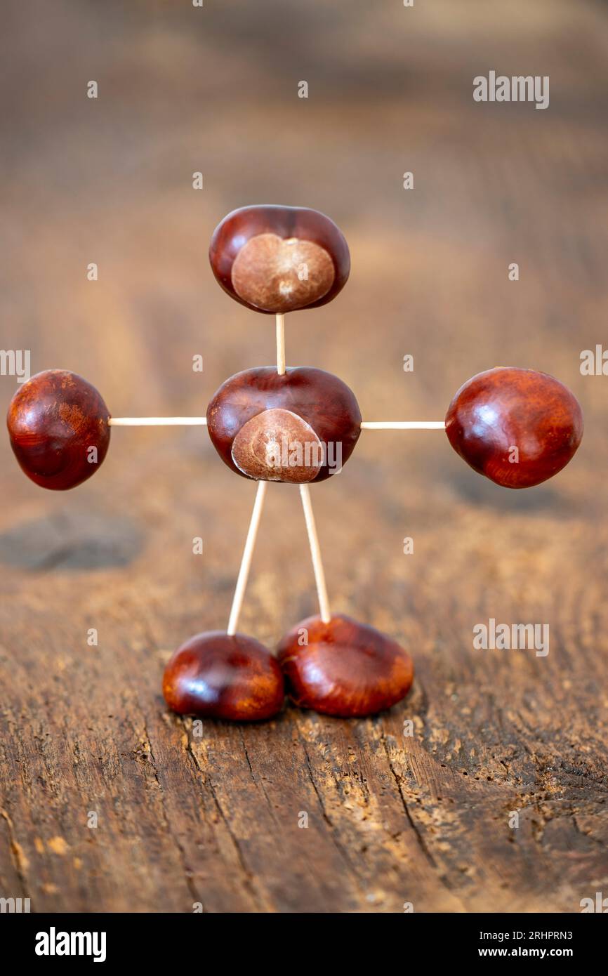 Horse chestnut wood park summer hi-res stock photography and images - Alamy