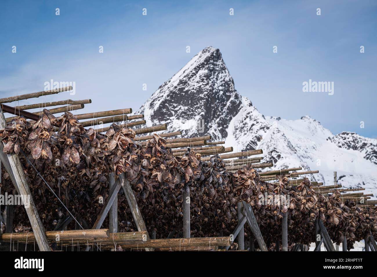 mountain, fish heads, dried fish, Lofoten, Norway, winter Stock Photo ...