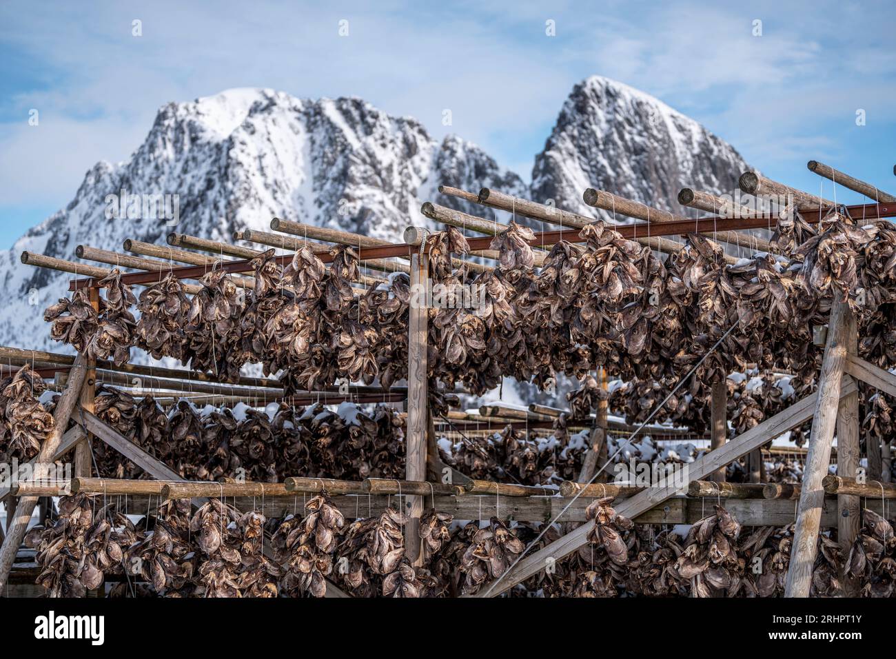 Fish heads, dried fish, Lofoten, Norway, winter Stock Photo - Alamy