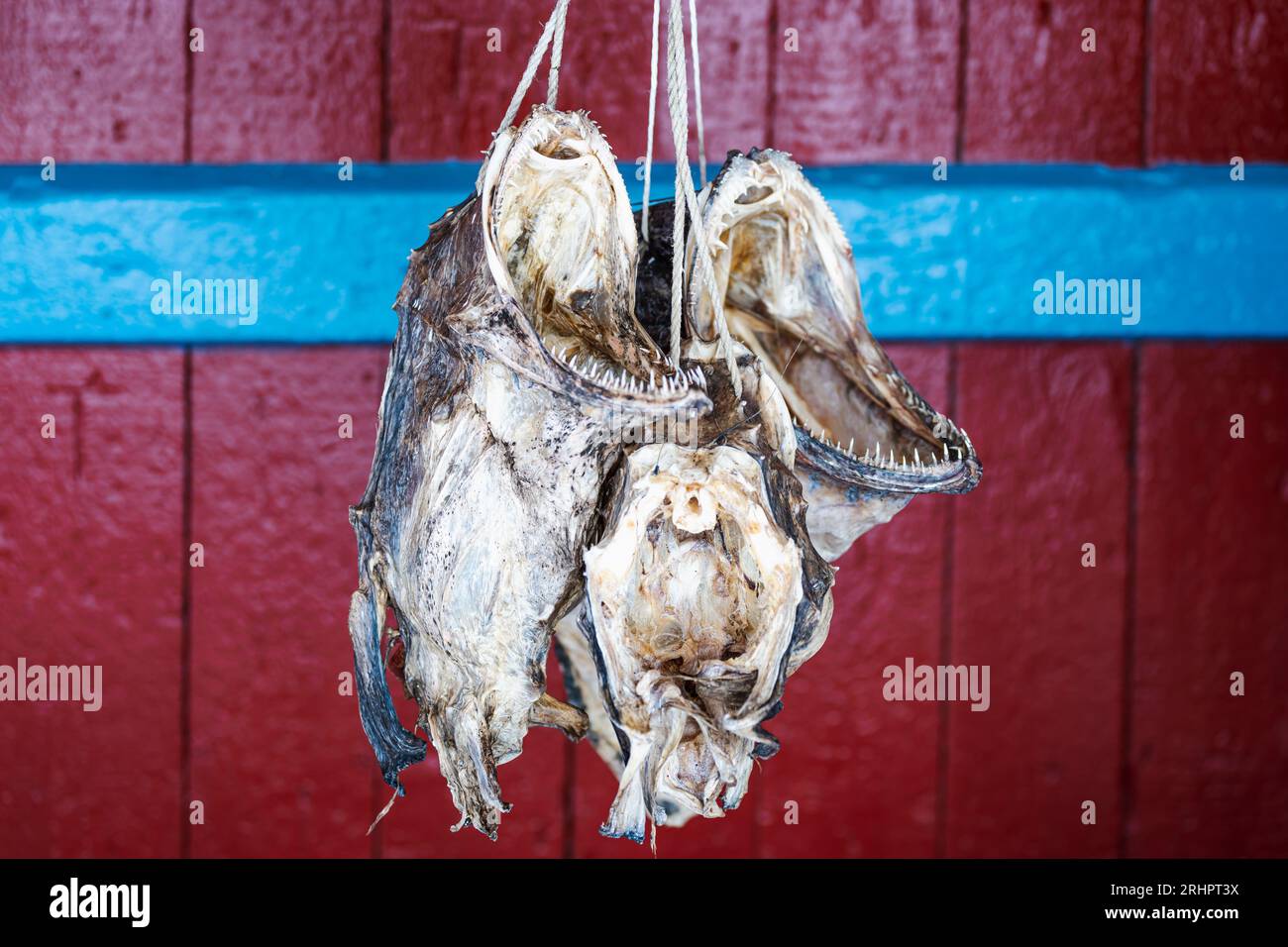 dried fish, ae, fishing village, Lofoten, Norway, winter Stock Photo ...