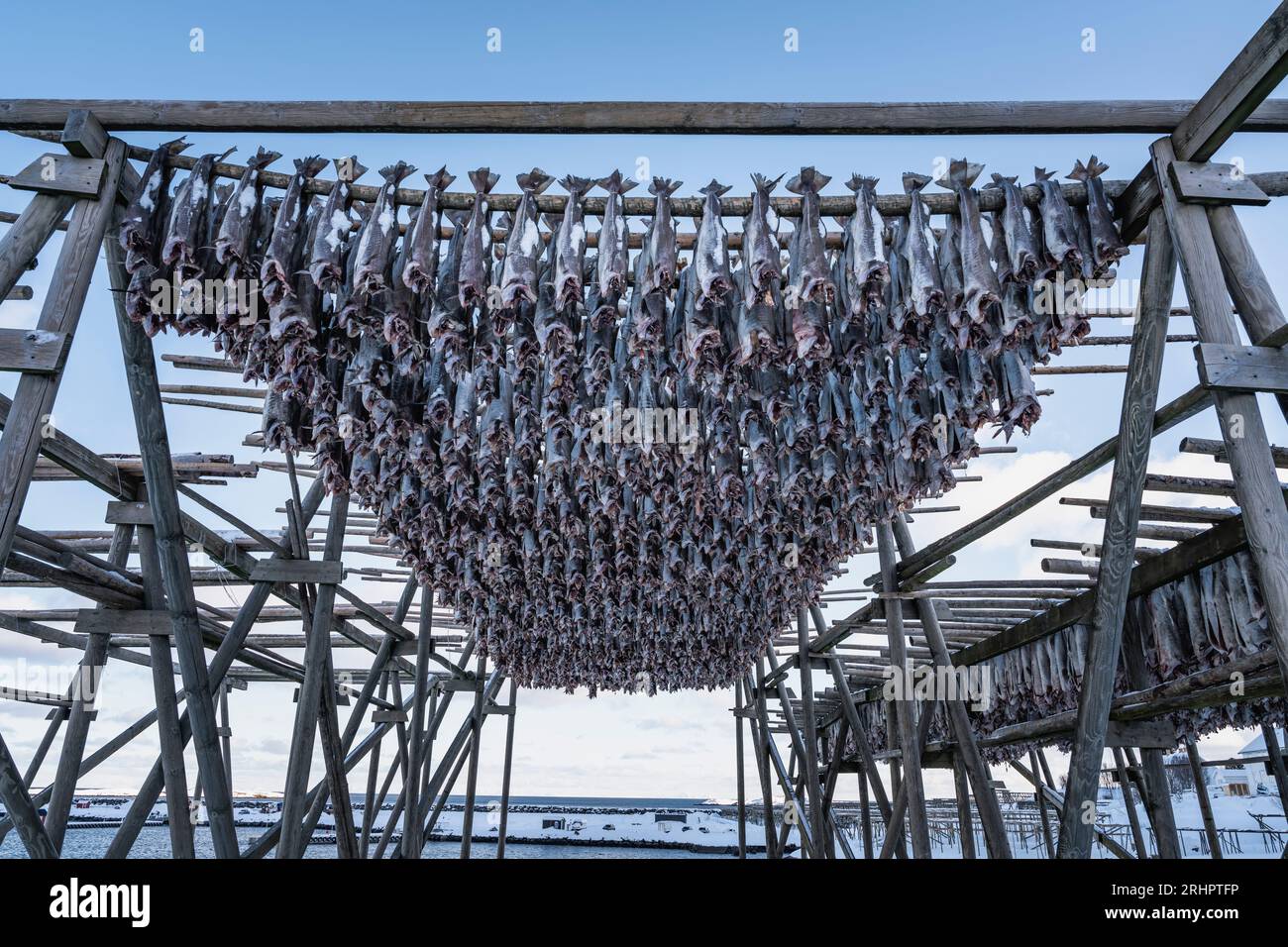 dried fish, Lofoten, Norway, winter Stock Photo - Alamy