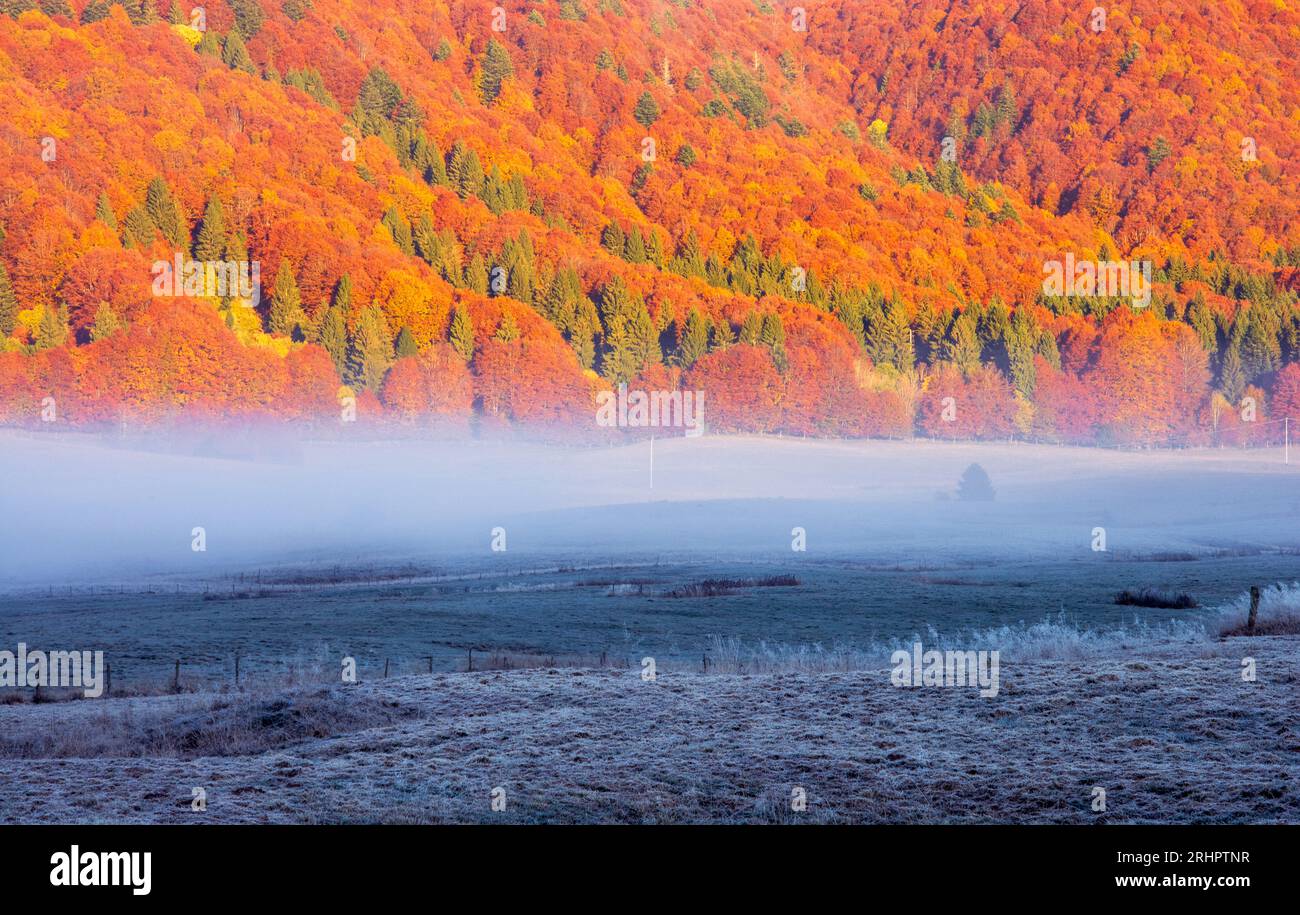 Toronto mist garden hi-res stock photography and images - Alamy