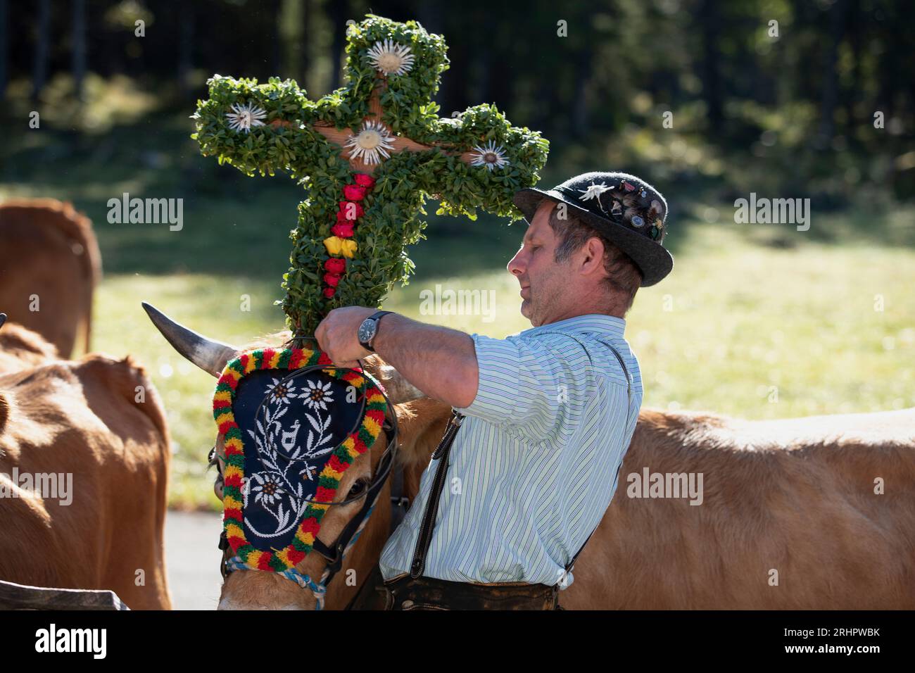 Almabtrieb mittenwald hi-res stock photography and images - Alamy