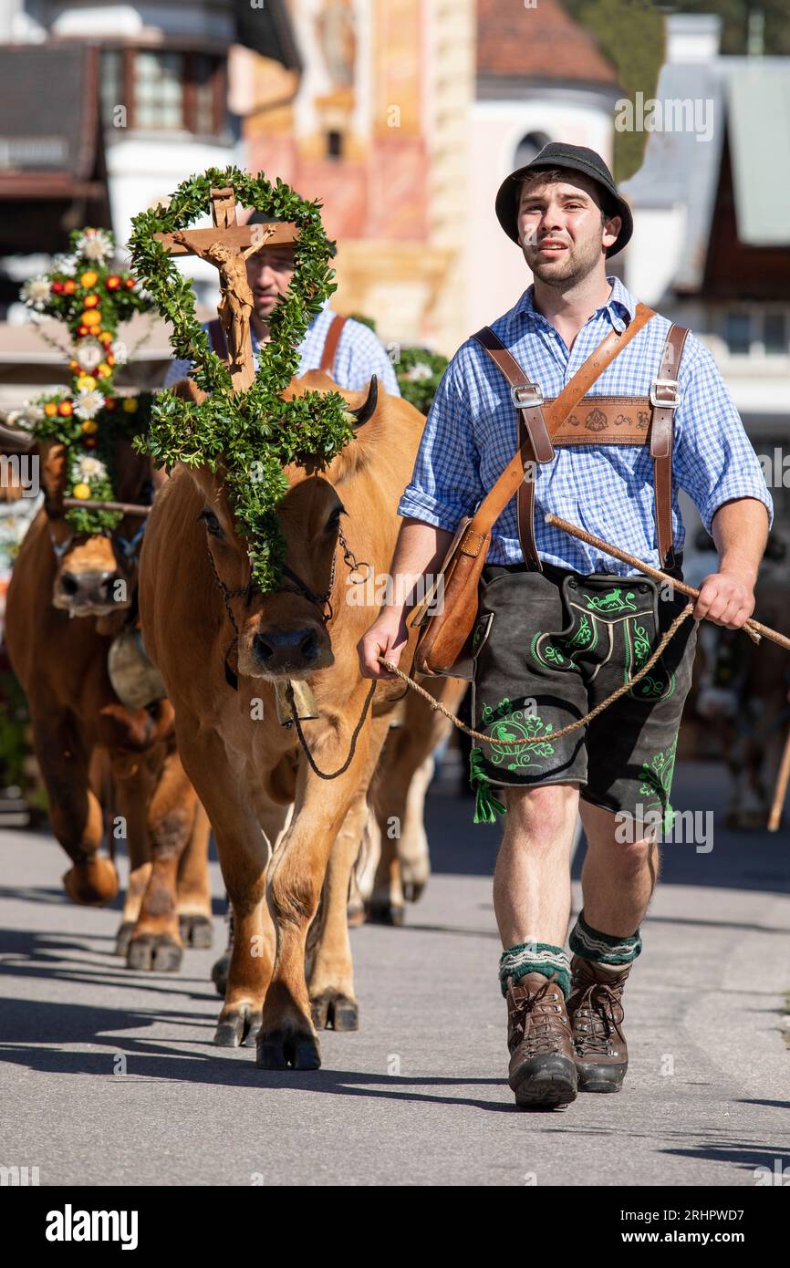 Almabtrieb mittenwald hi-res stock photography and images - Alamy