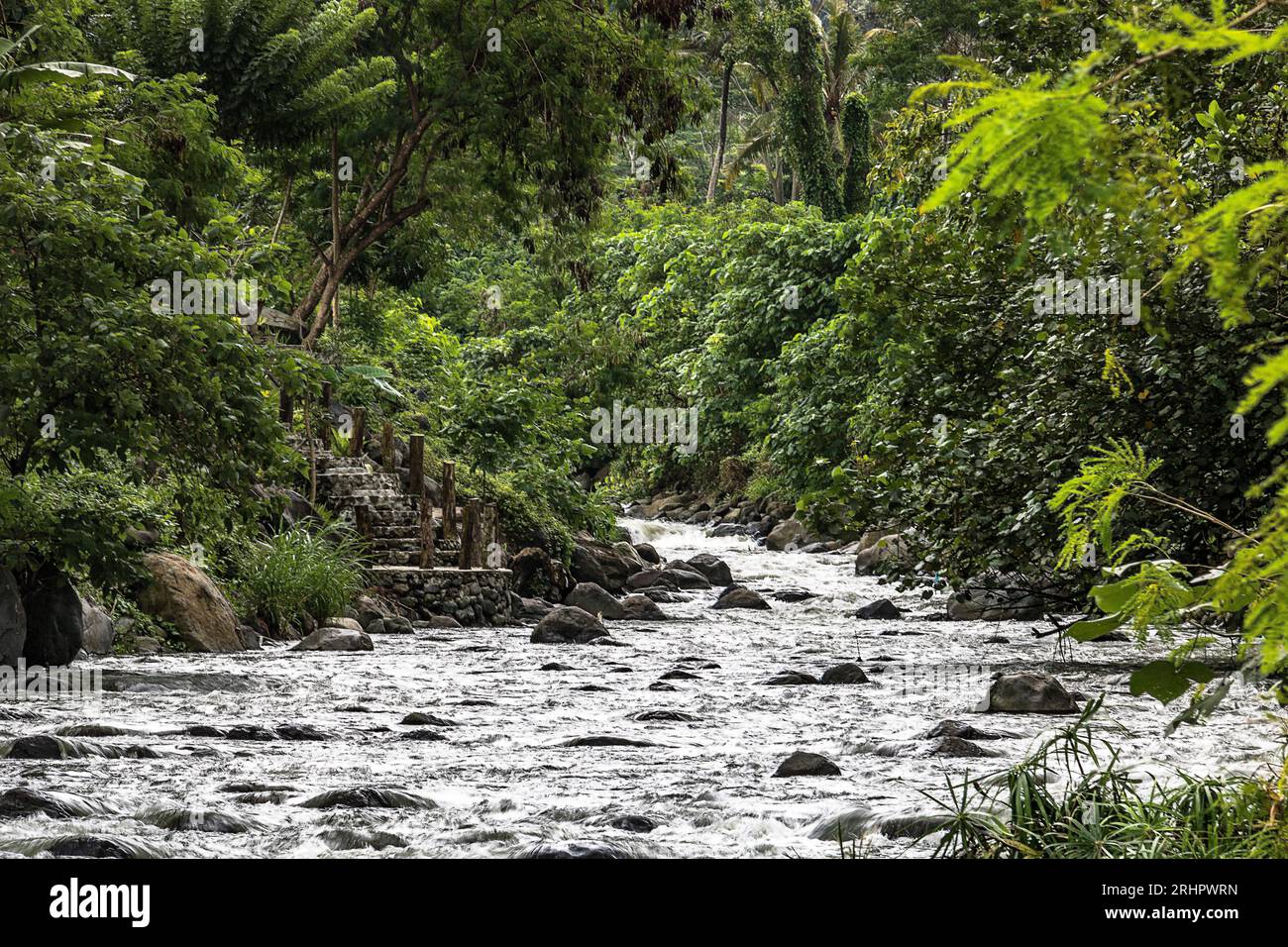 River surrounded by nature in the rice fields in the middle of nature ...