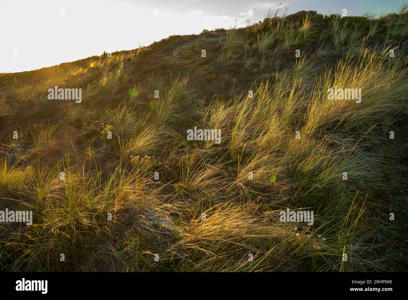 Coastal backlight and nature landscape hi-res stock photography and ...