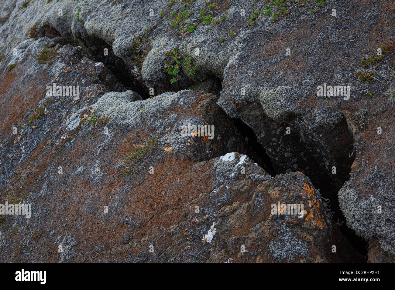 Southwest Iceland in early summer 2021, Fissured ground near Silfra ...
