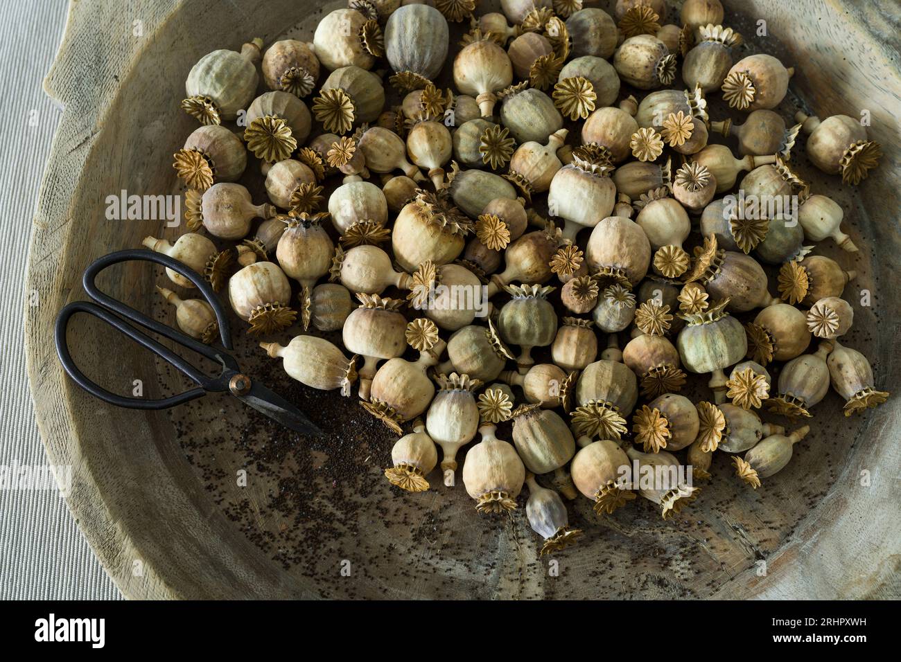 ripe poppy pods and seeds in an old wooden bowl, close up with ...