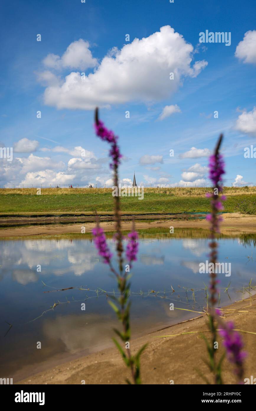 Oberhausen, North Rhine-Westphalia, Germany - Renaturalization of the ...