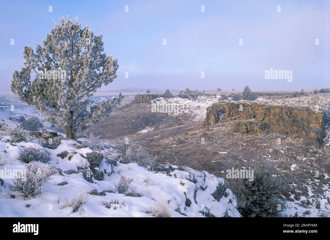 USA, Pacific Northwest, Oregon, Central Oregon, Bend, desert landscape ...