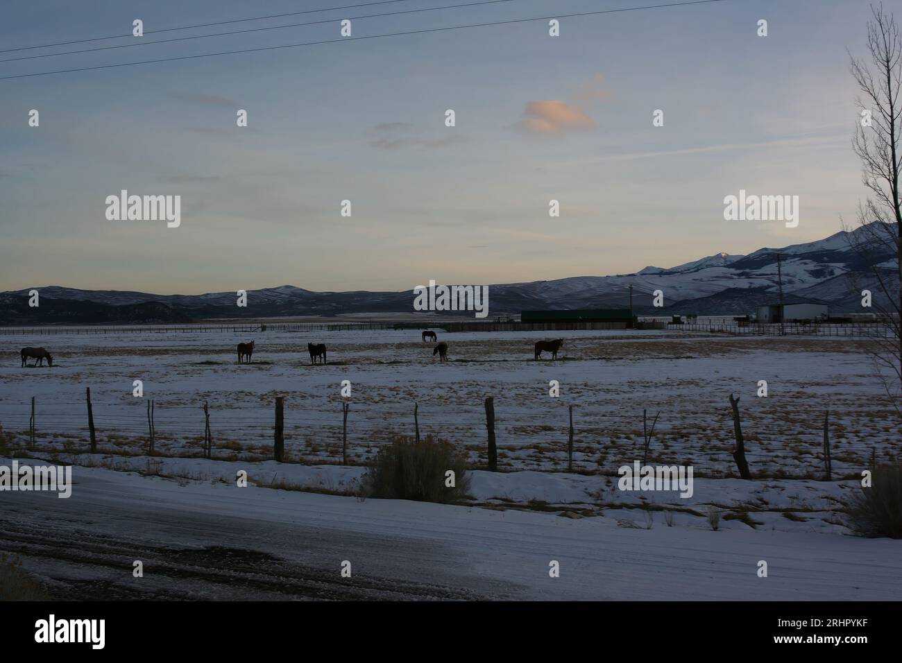 Mono lake ranch hi-res stock photography and images - Alamy