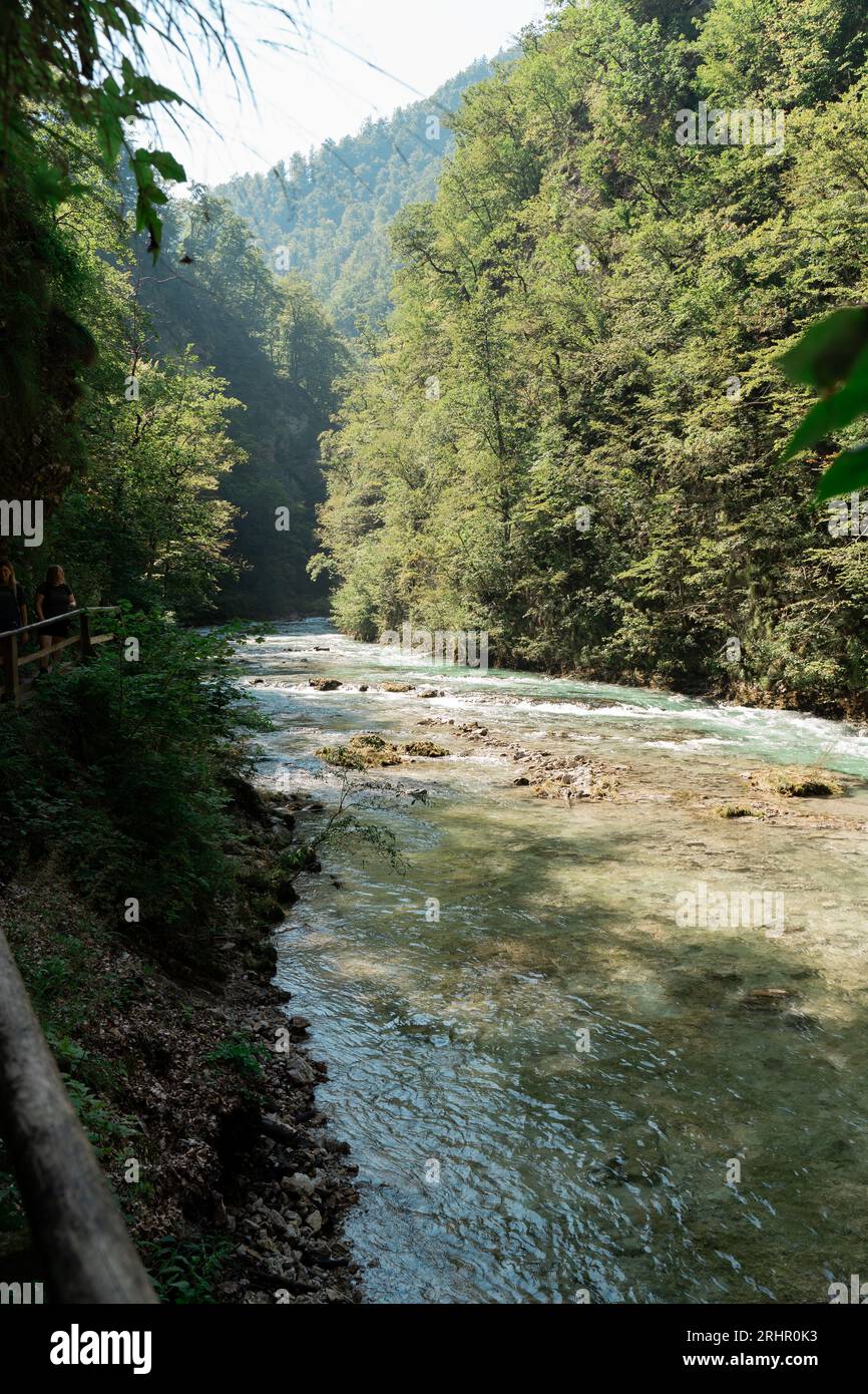 Vintgar Gorge with the Radovna River and waterfall in the Triglav ...