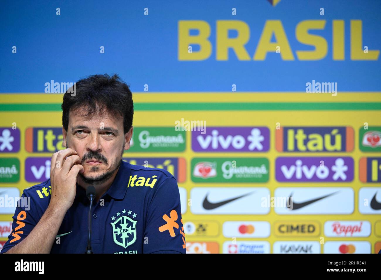 The new coach of the Brazilian national soccer team, Fernando Diniz ...