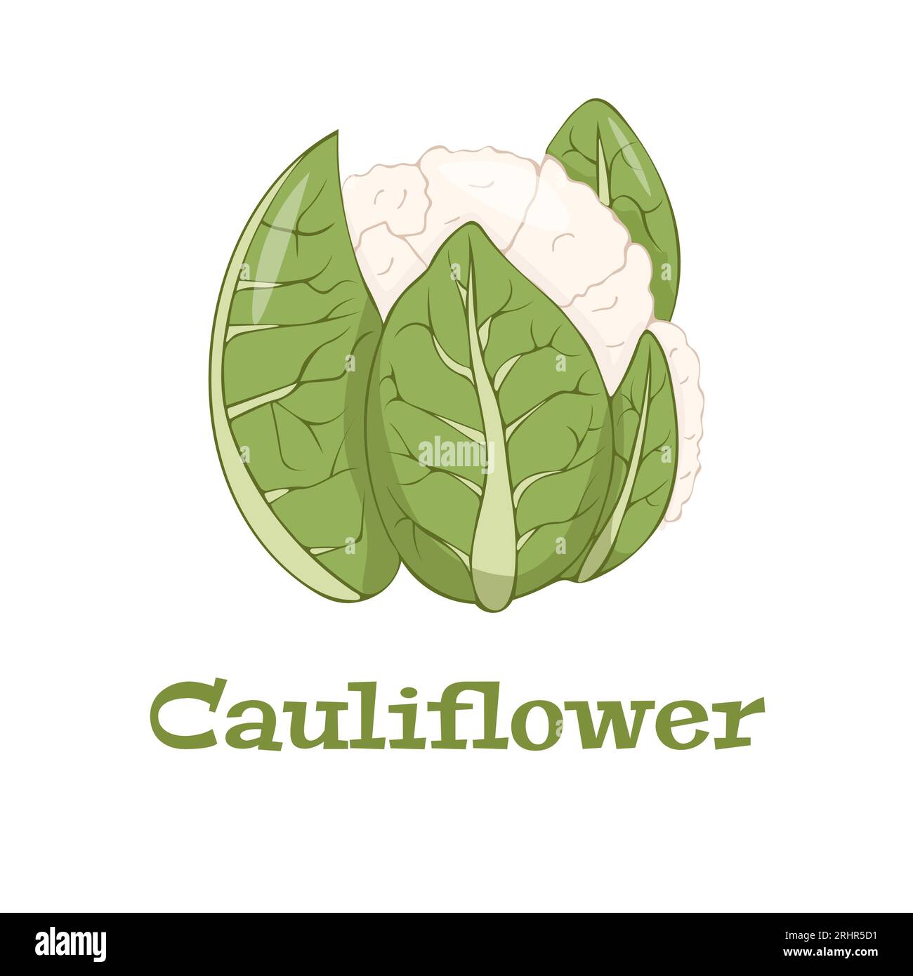 Cauliflower icon in flat style.Isolated object.Cauliflower logo ...