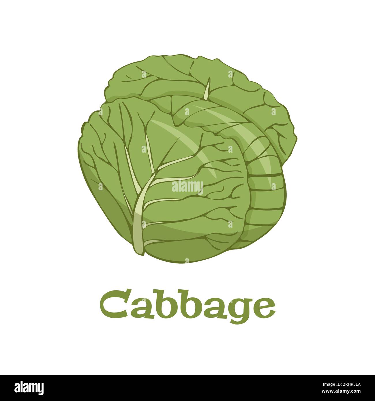 Cabbage icon in flat style. Isolated object. Cabbage logo. Vegetable ...