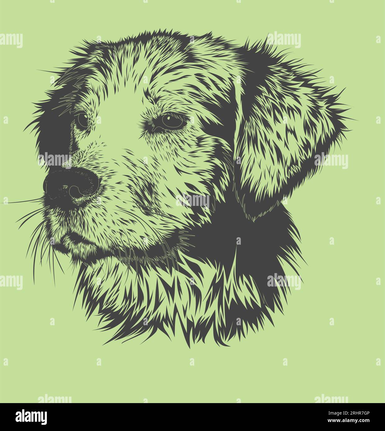 Face on head shot Stock Vector Images - Alamy