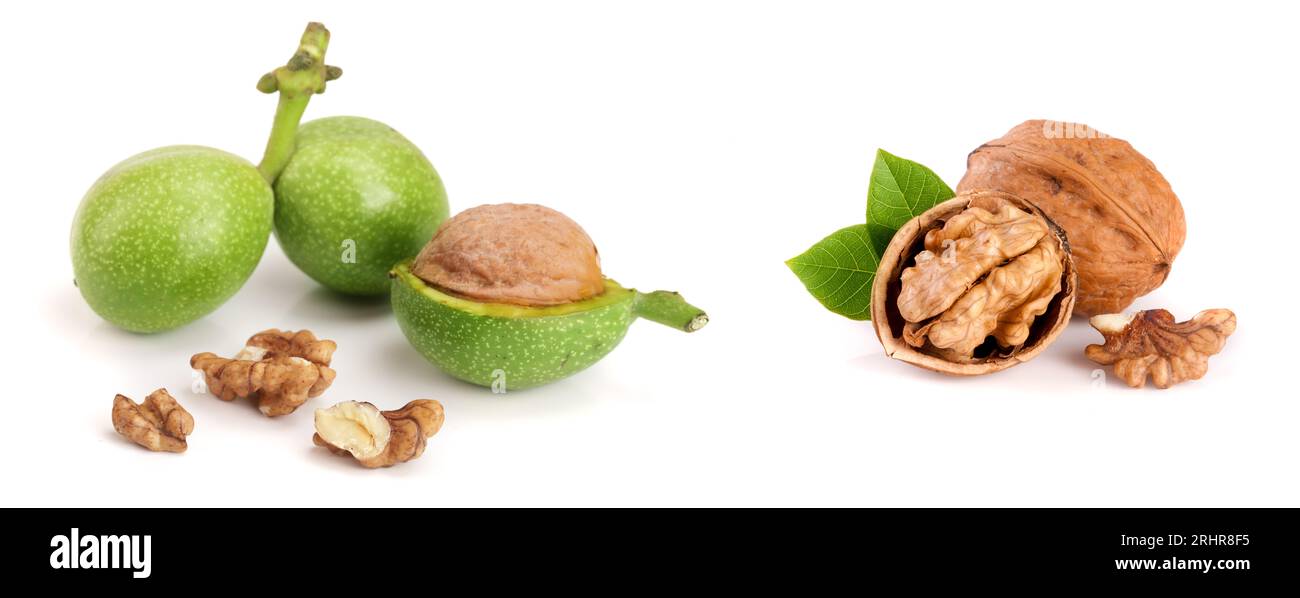 fresh walnuts in peel isolated on white background Stock Photo - Alamy