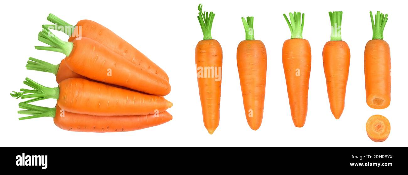 Carrot isolated on white background with full depth of field. Top view ...