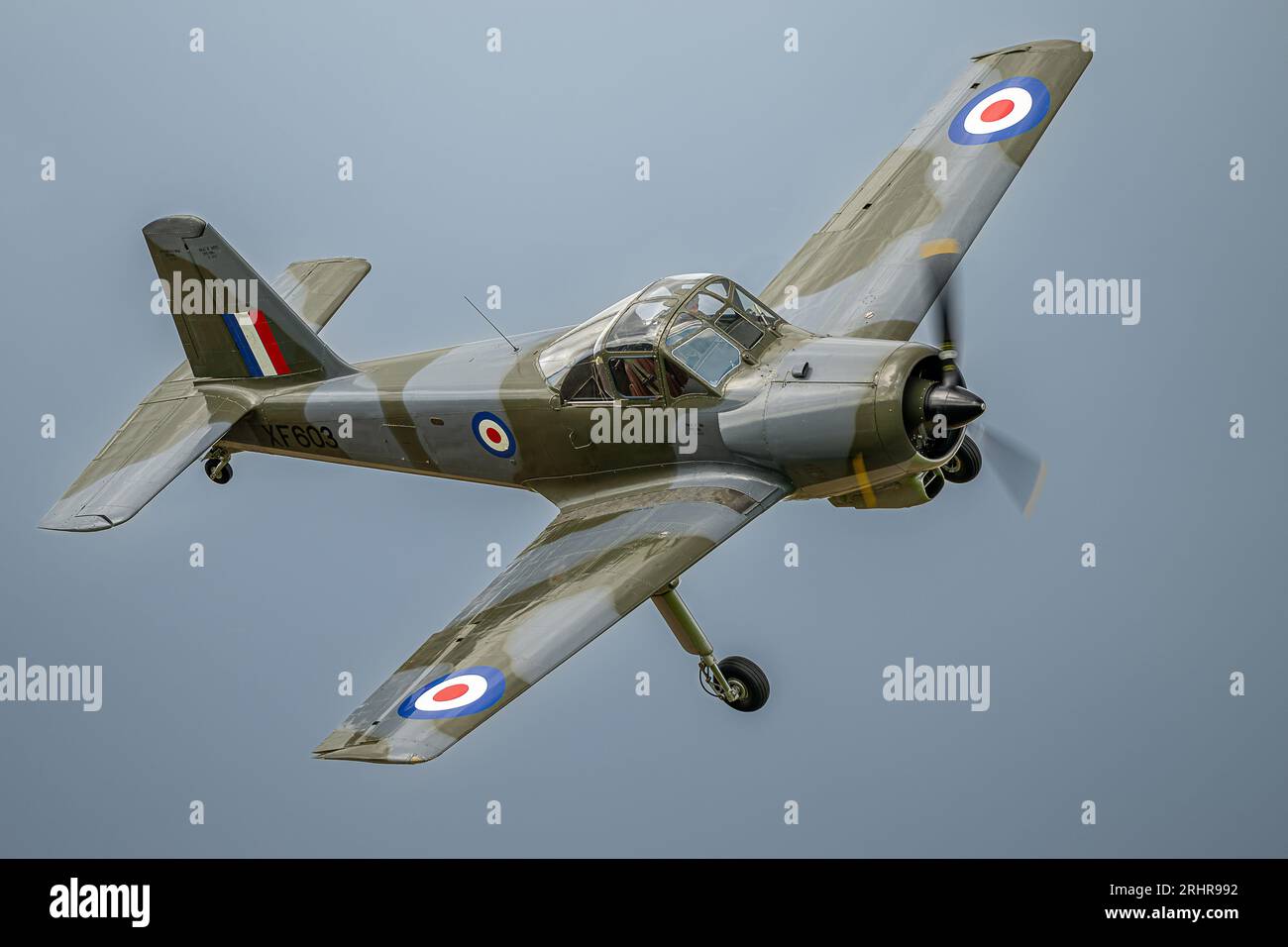 Percival P.56 Provost T1 Stock Photo - Alamy