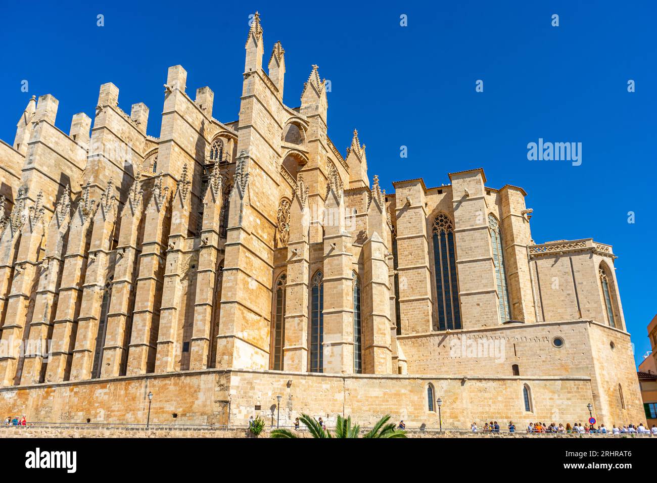 Experience the iconic Mallorca cathedral in all its exterior grandeur ...