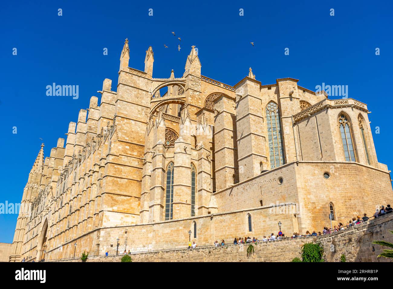 Let the detailed carvings, archways, and stonework of Mallorca ...