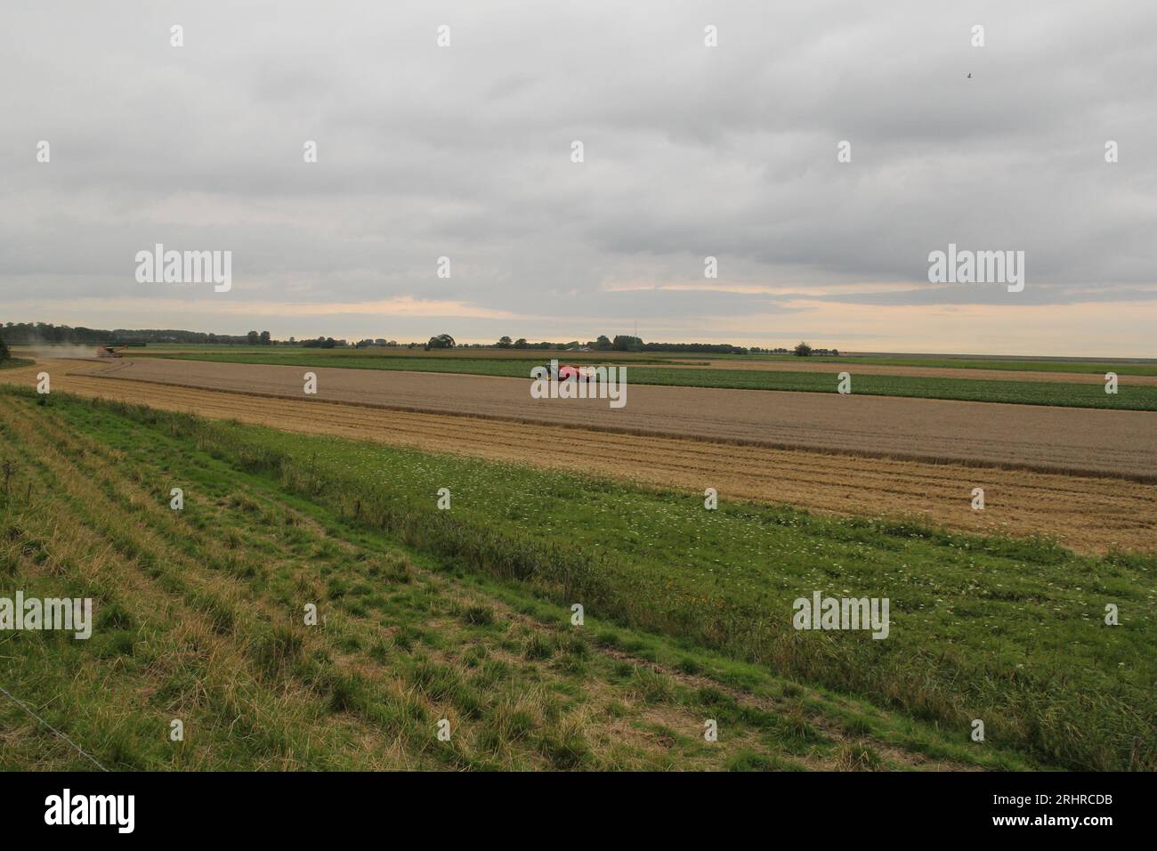 a panoramic rural landscape of a grain field with a combine harvester ...